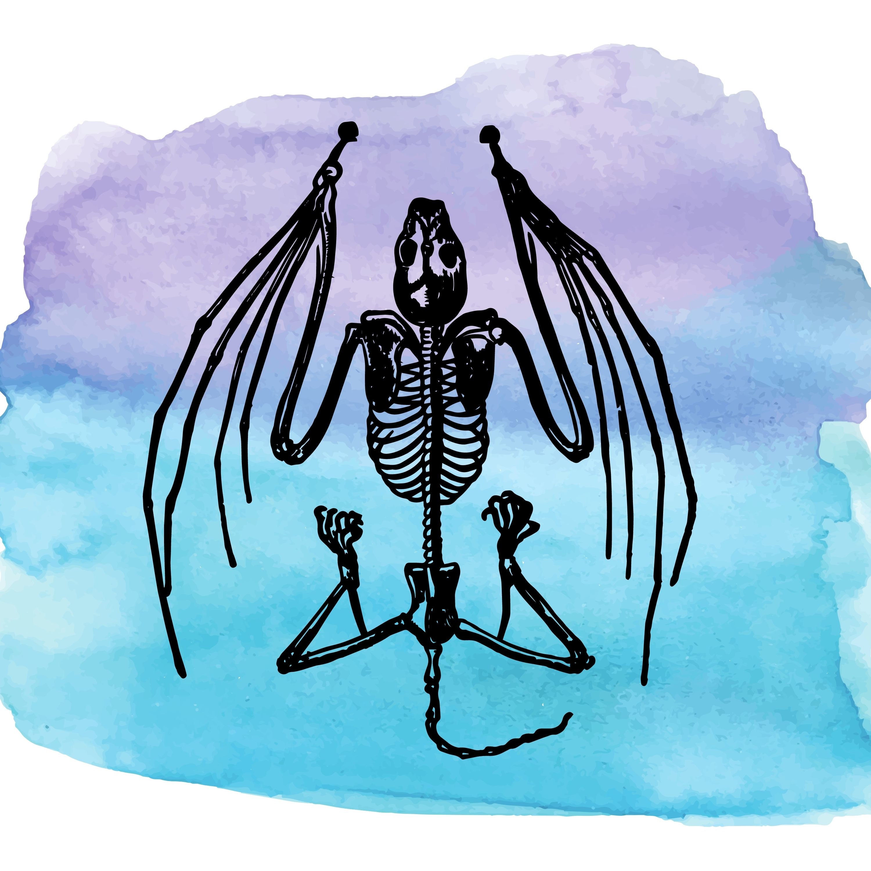 Bat Papercut Template SVG Animal Bones Skeleton Laser Cut File Goth ...