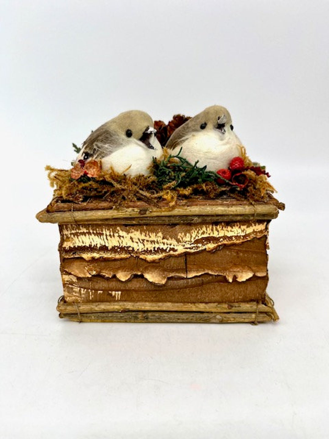 Adorable Vintage 2 Bird Music Box - Etsy