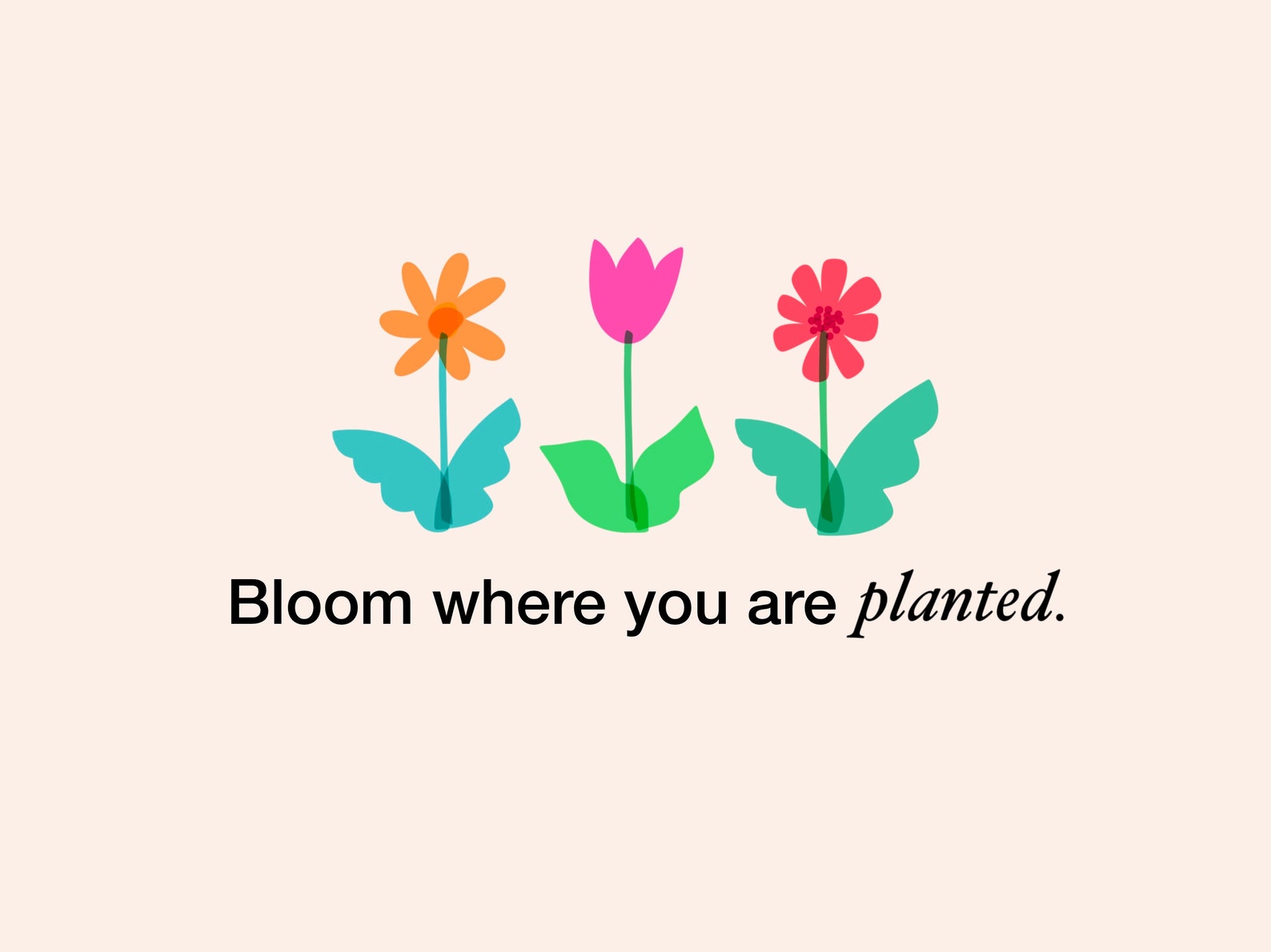 140+ Procreate Riso Shape Stamp Brushes: Risograph, Organic & Simple ...