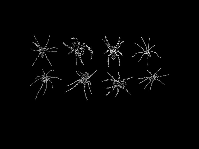 50+ Procreate Spider and Web Stamp Brushes: Tarantula Spooky Halloween ...