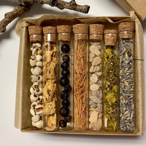 Nature Specimens Dried Flowers Berries Botanicals Natural - Etsy