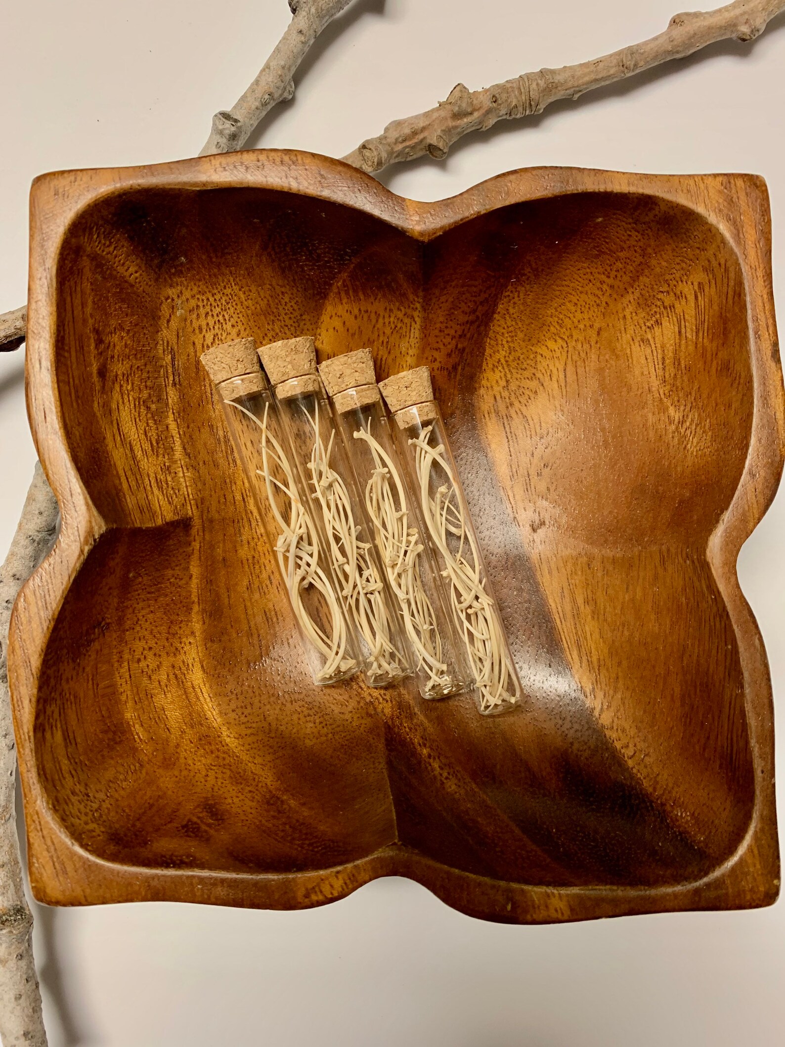 Snake Ribs, Diamondback Snake Bones, Curiosities, Altar Decoration ...