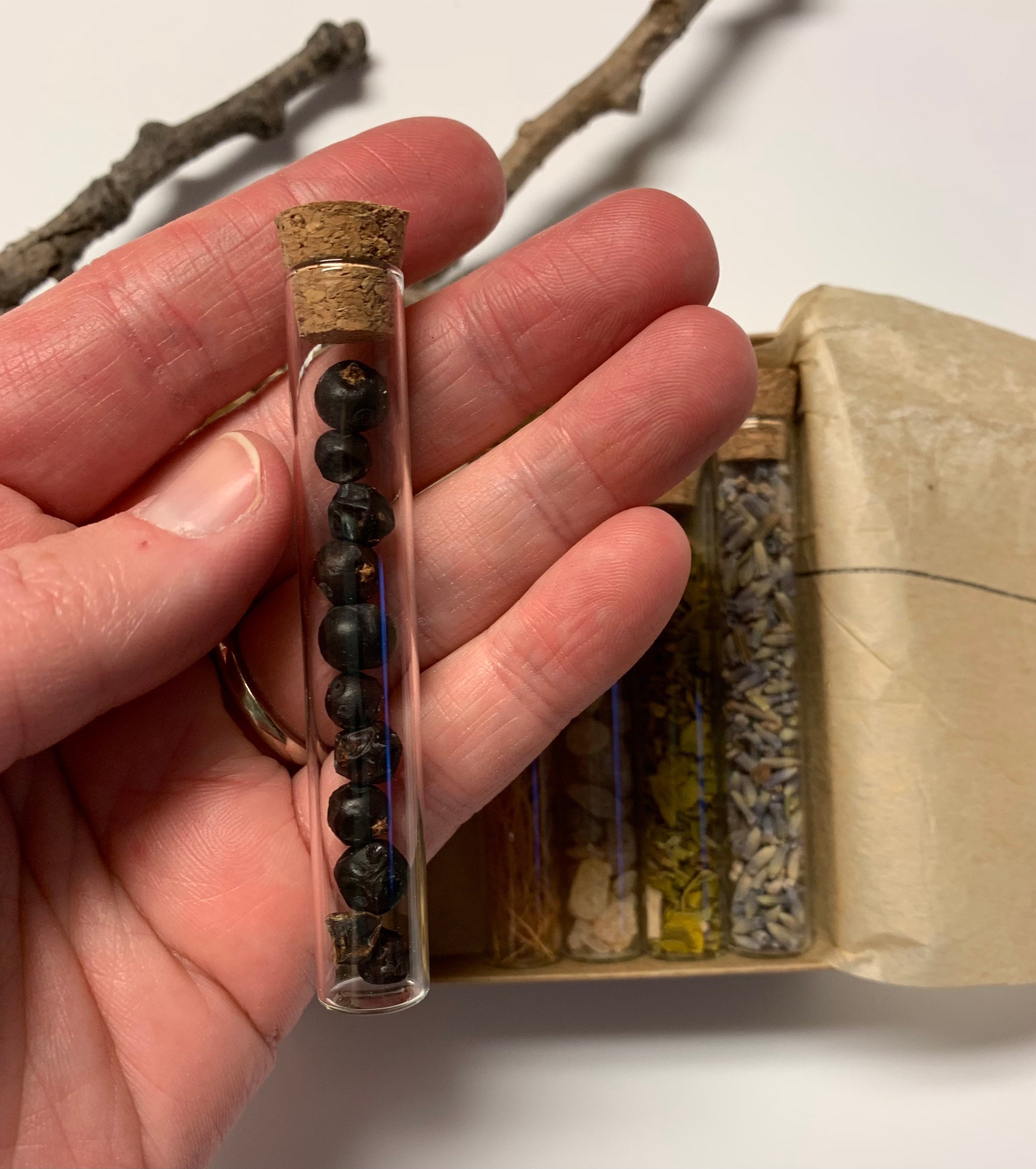 Nature Specimens Dried Flowers Berries Botanicals Natural - Etsy