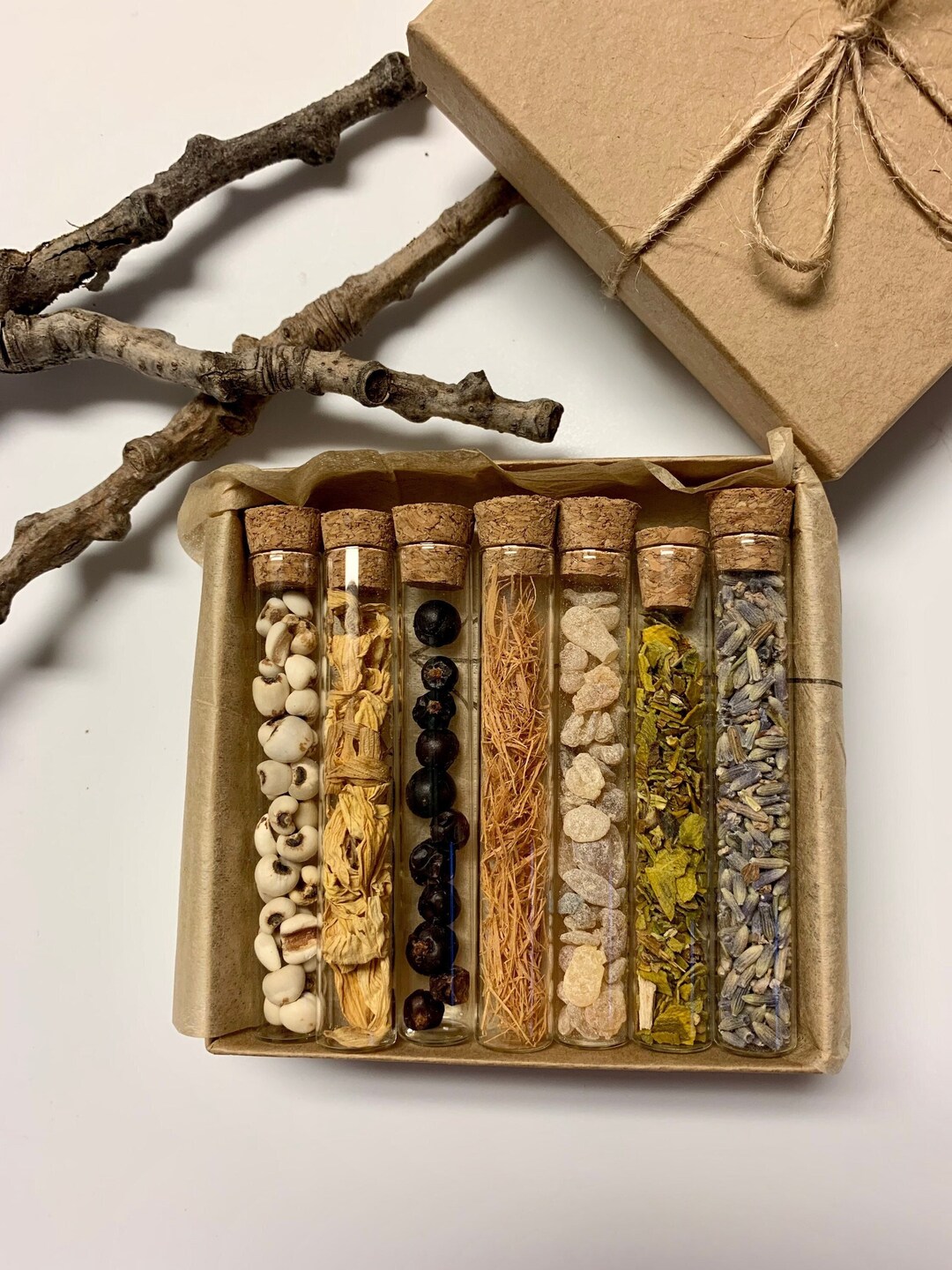 Nature Specimens, Dried Flowers Berries, Botanicals, Natural History ...