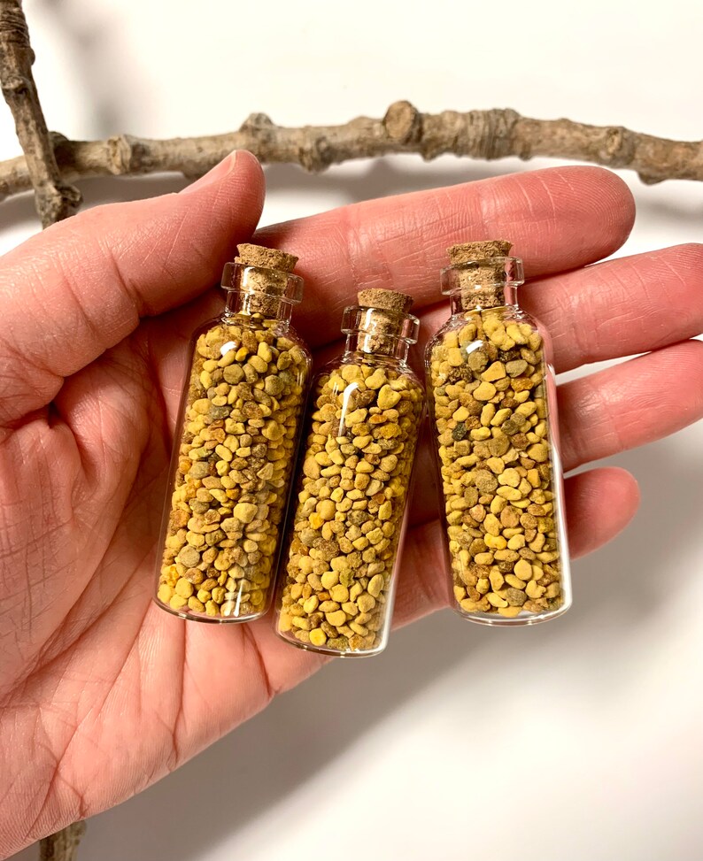 Bee Pollen Specimen Curiosities Altar Decoration Witchcraft | Etsy