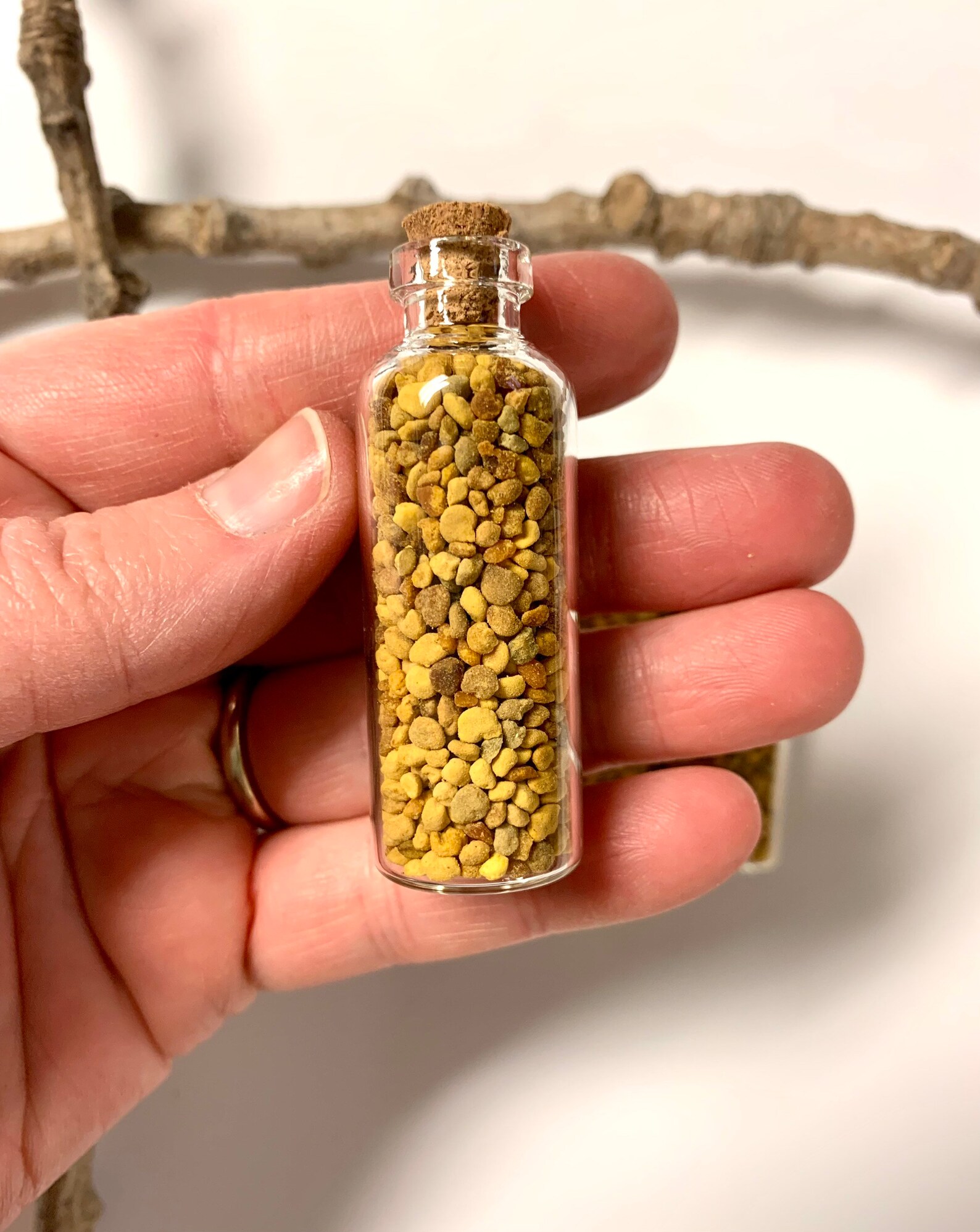 Bee Pollen Specimen Curiosities Altar Decoration Witchcraft | Etsy