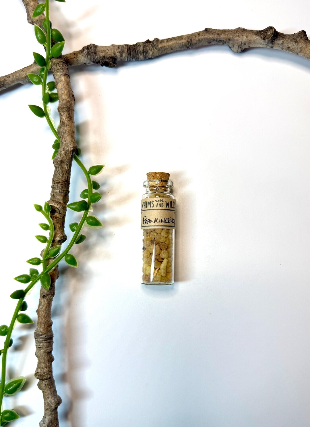 Frankincense Resin in Glass Vial, Curiosities, Apothecary Herbs, Dried ...
