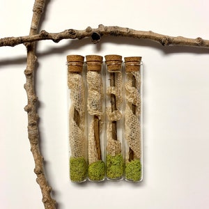 Snake Skin Shed and Brambles in a Jar, Curiosities, Altar Decoration ...