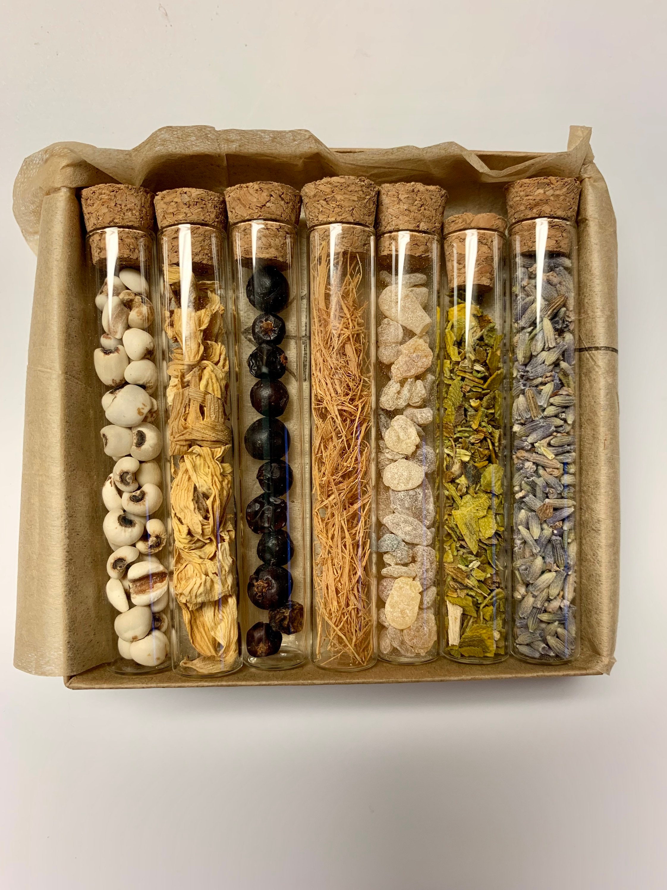 Nature Specimens Dried Flowers Berries Botanicals Natural - Etsy