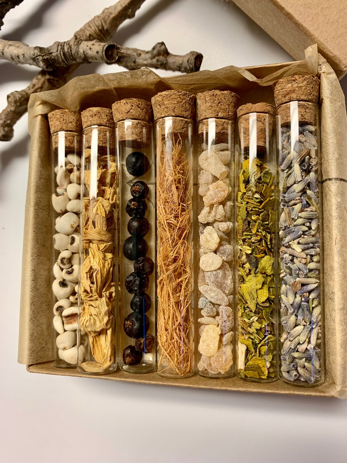 Nature Specimens Dried Flowers Berries Botanicals Natural - Etsy