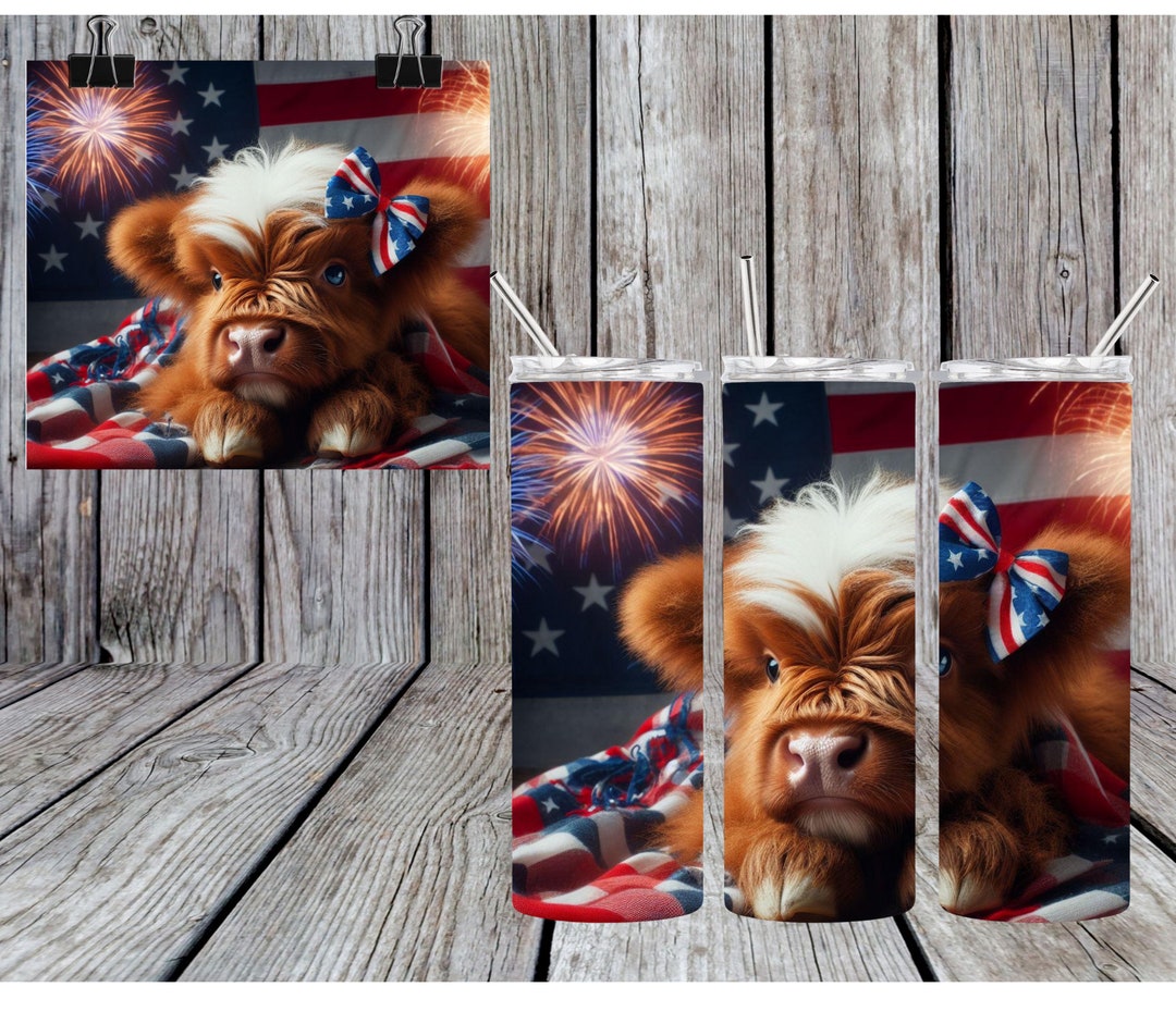 USA, Baby Cow, Highland Cow, Red White Blue, America, Fireworks, Farm ...