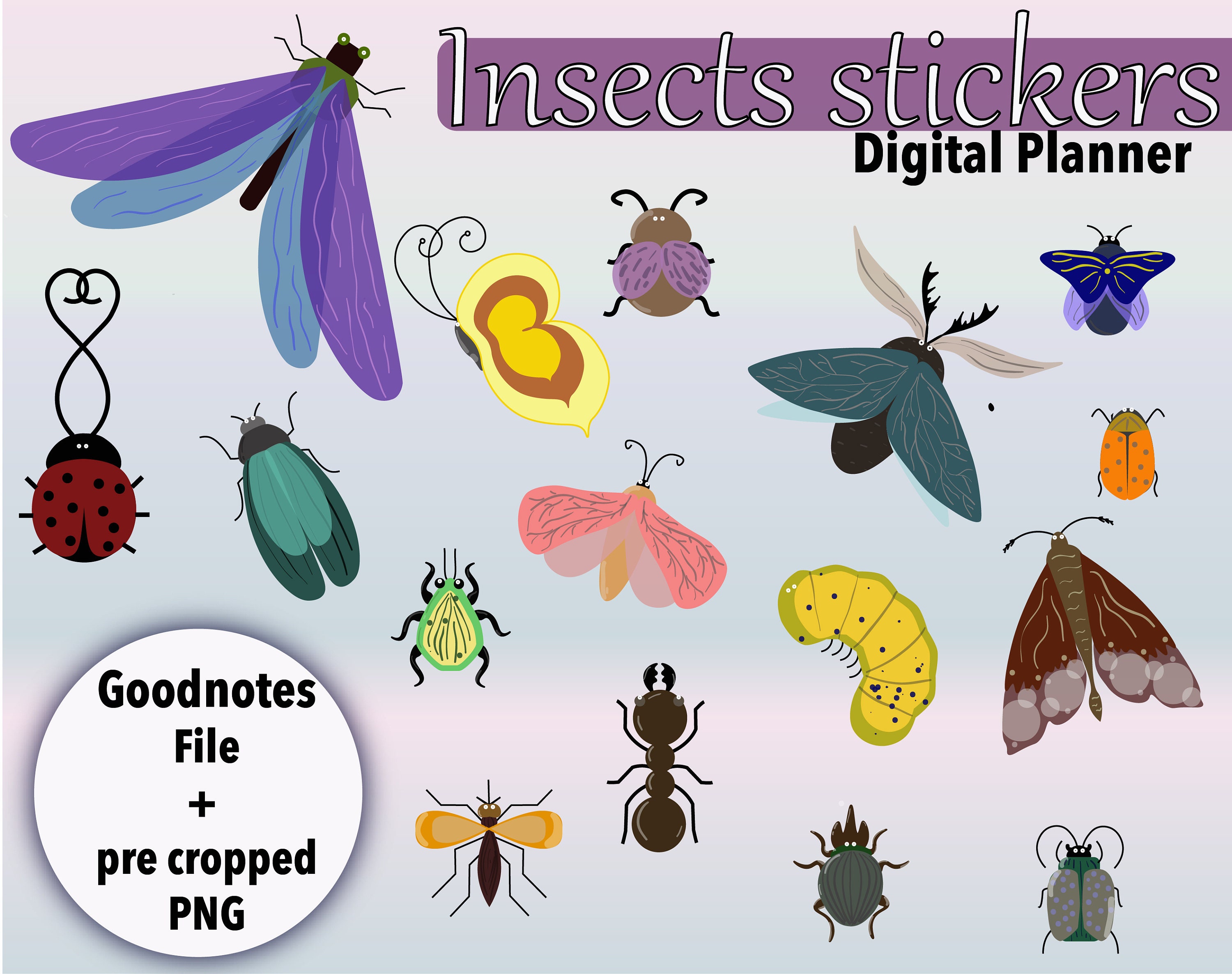 Insect Clipart Insect Clip Art Digital Insect Image Insect - Etsy