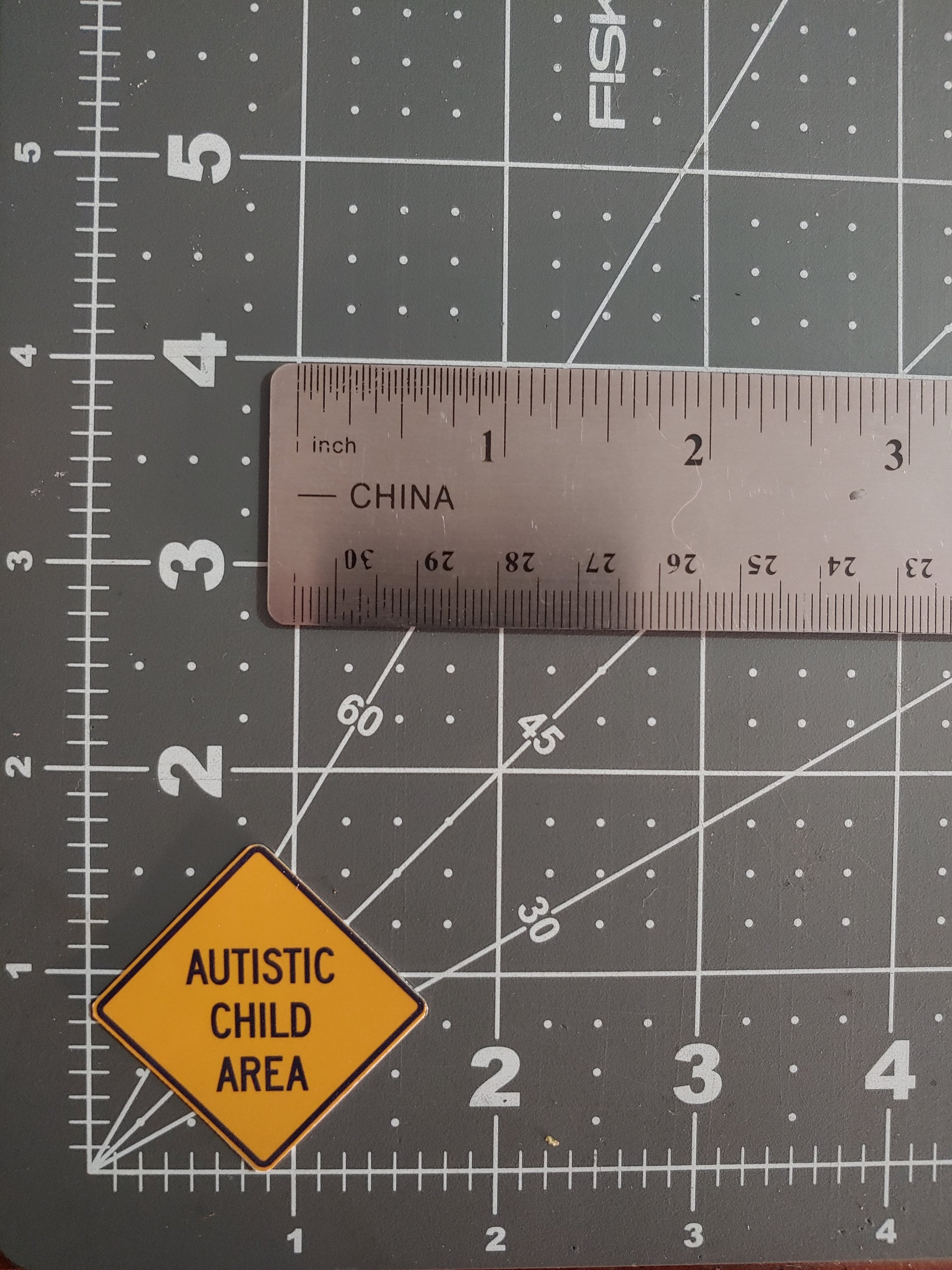 Autistic Child Area Small Scale Sign - Etsy