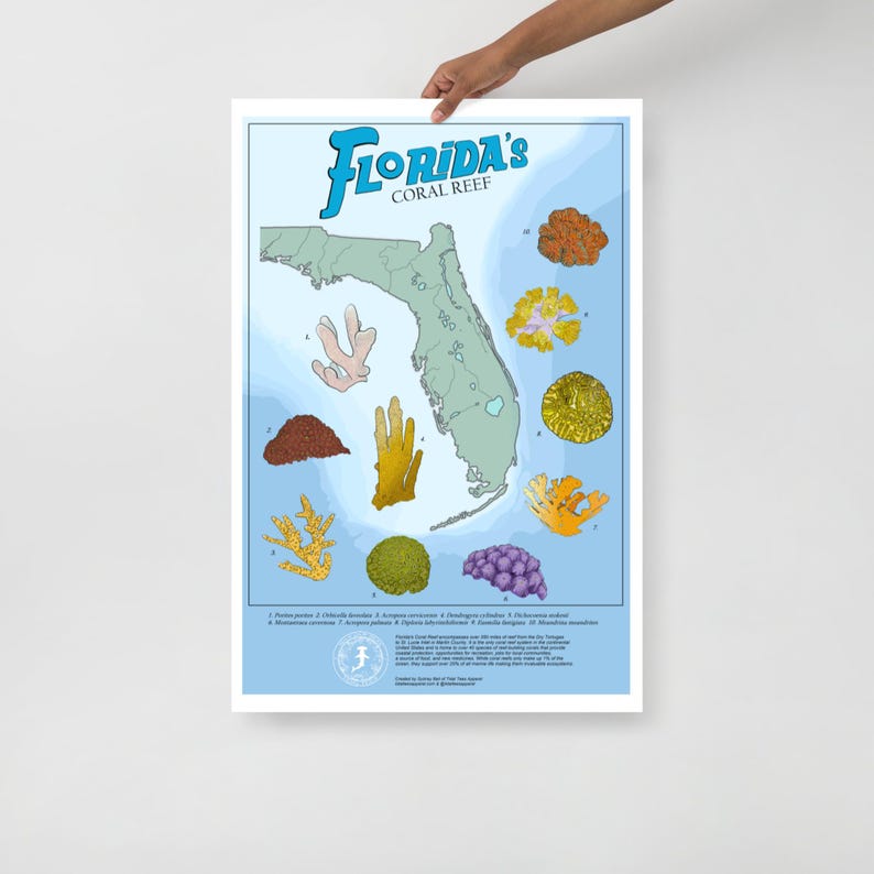 Florida's Coral Reef Poster - Etsy