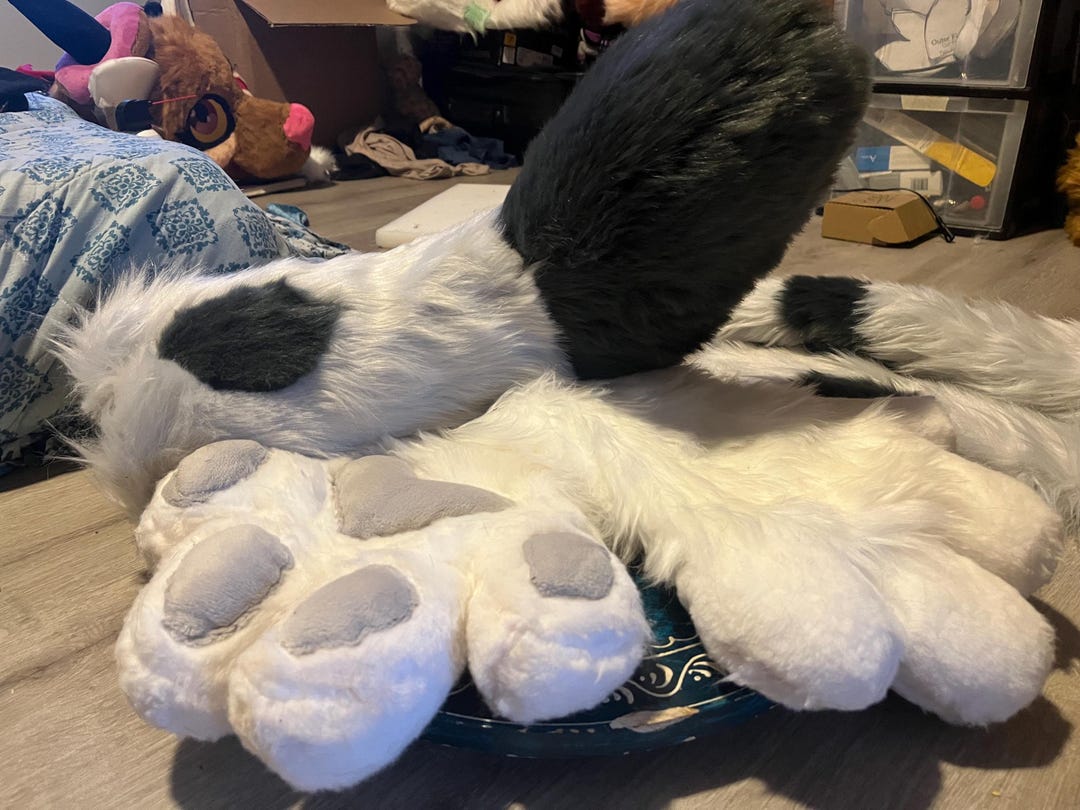 Muffin Mini Fursuit Set - Etsy