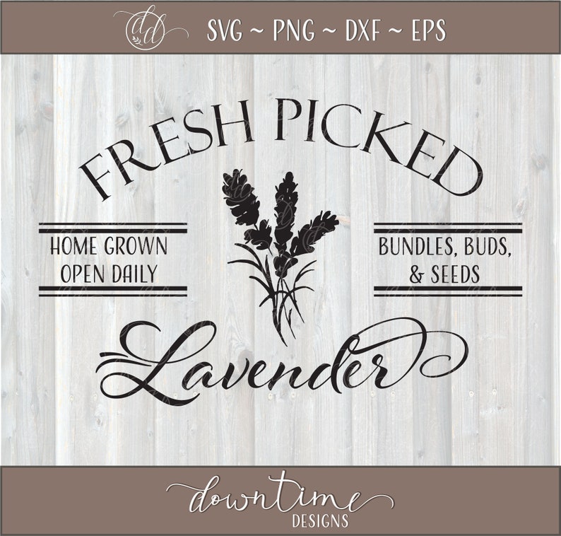 Fresh Picked Lavender SVG, Lavender SVG, Flowers SVG, Fresh Flowers Svg, Farmers Market Svg ...