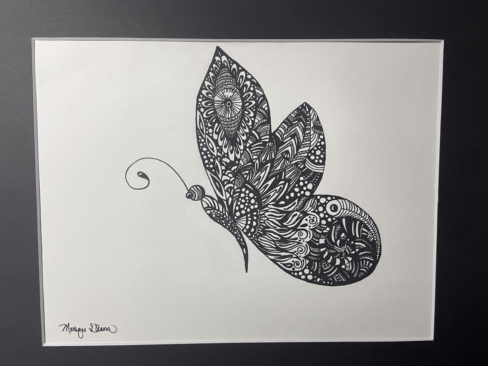 Butterfly Pen Drawing (print) - Etsy