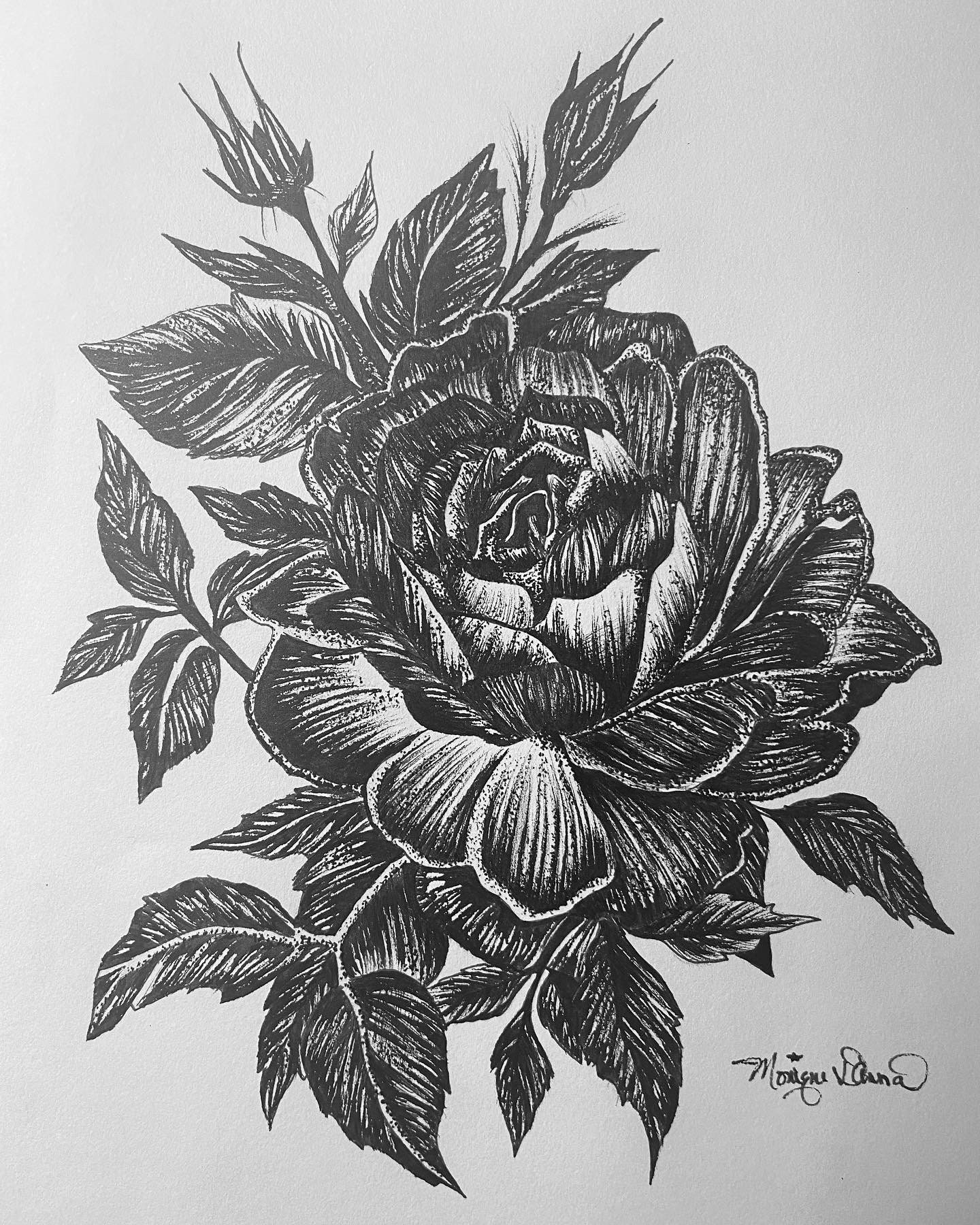 Rose Wall Art (pen Drawing Print) - Etsy