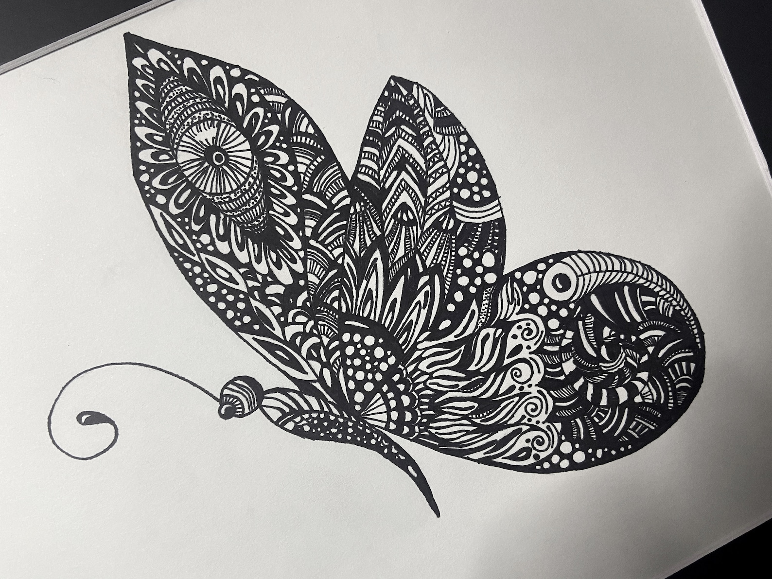 Butterfly Pen Drawing (print) - Etsy