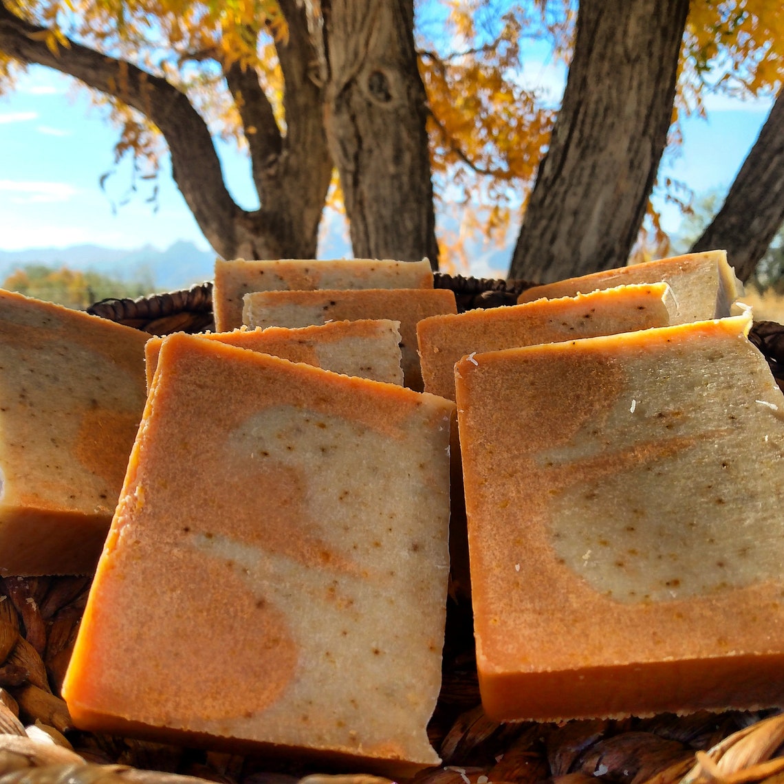 Rum Cake Orange Clove Soap - Etsy