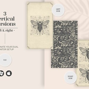 Desktop Organizer Vintage Bee Wallpaper - Victorian Line Art Light ...