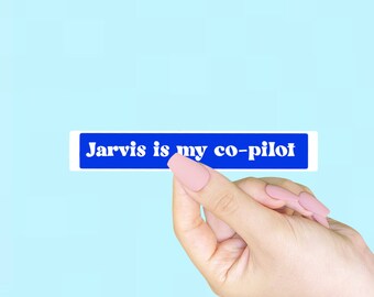 Co Pilot Sticker - Etsy