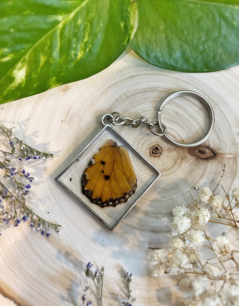 Real Butterfly Wing Keychain new Design - Etsy