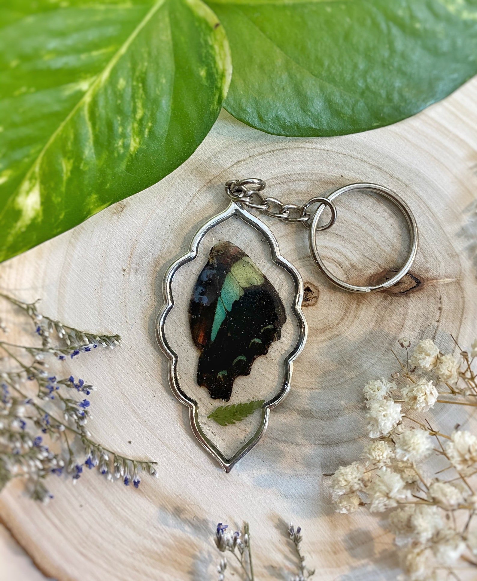 Real Butterfly Wing Keychain new Design - Etsy