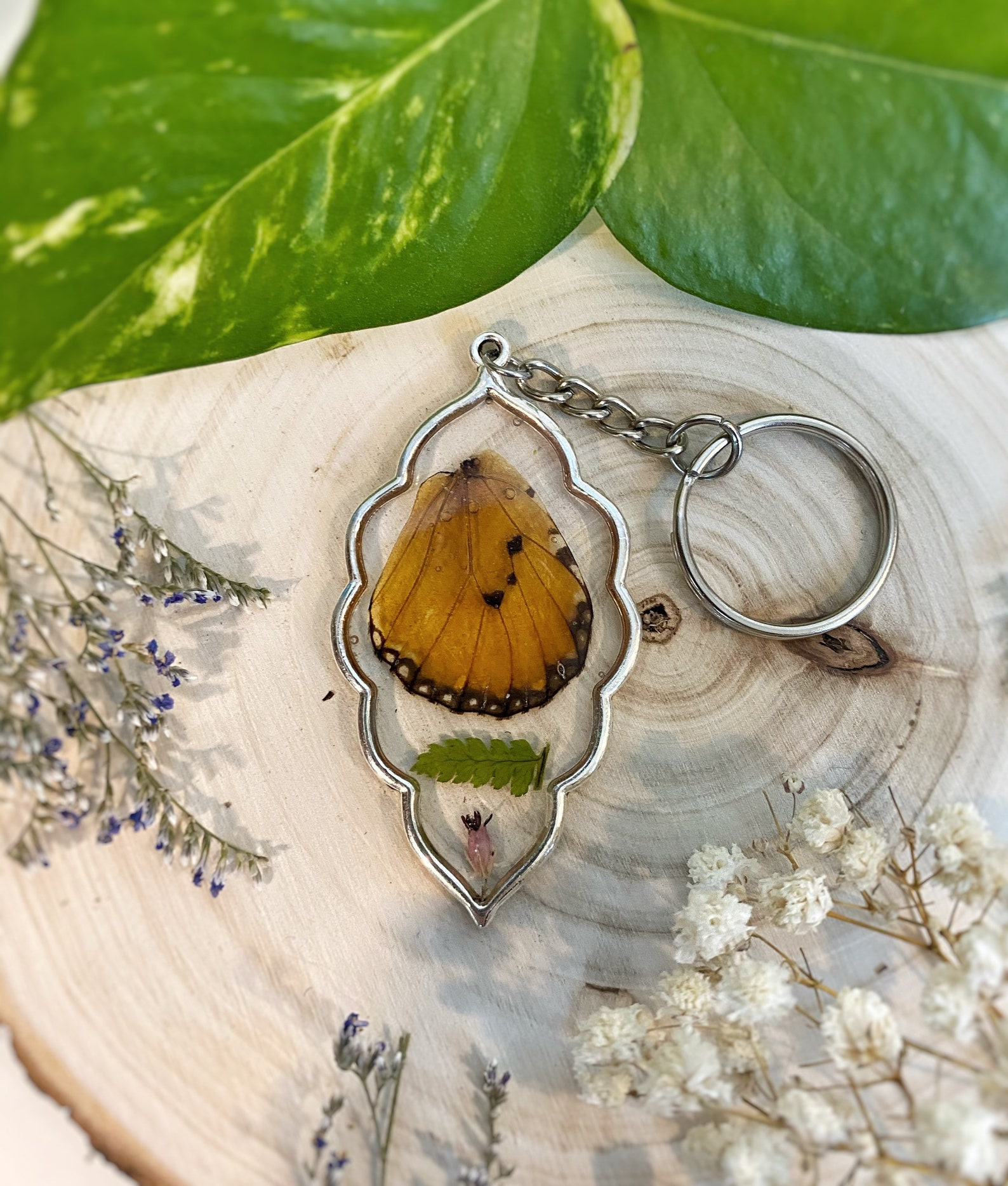 Real Butterfly Wing Keychain new Design - Etsy