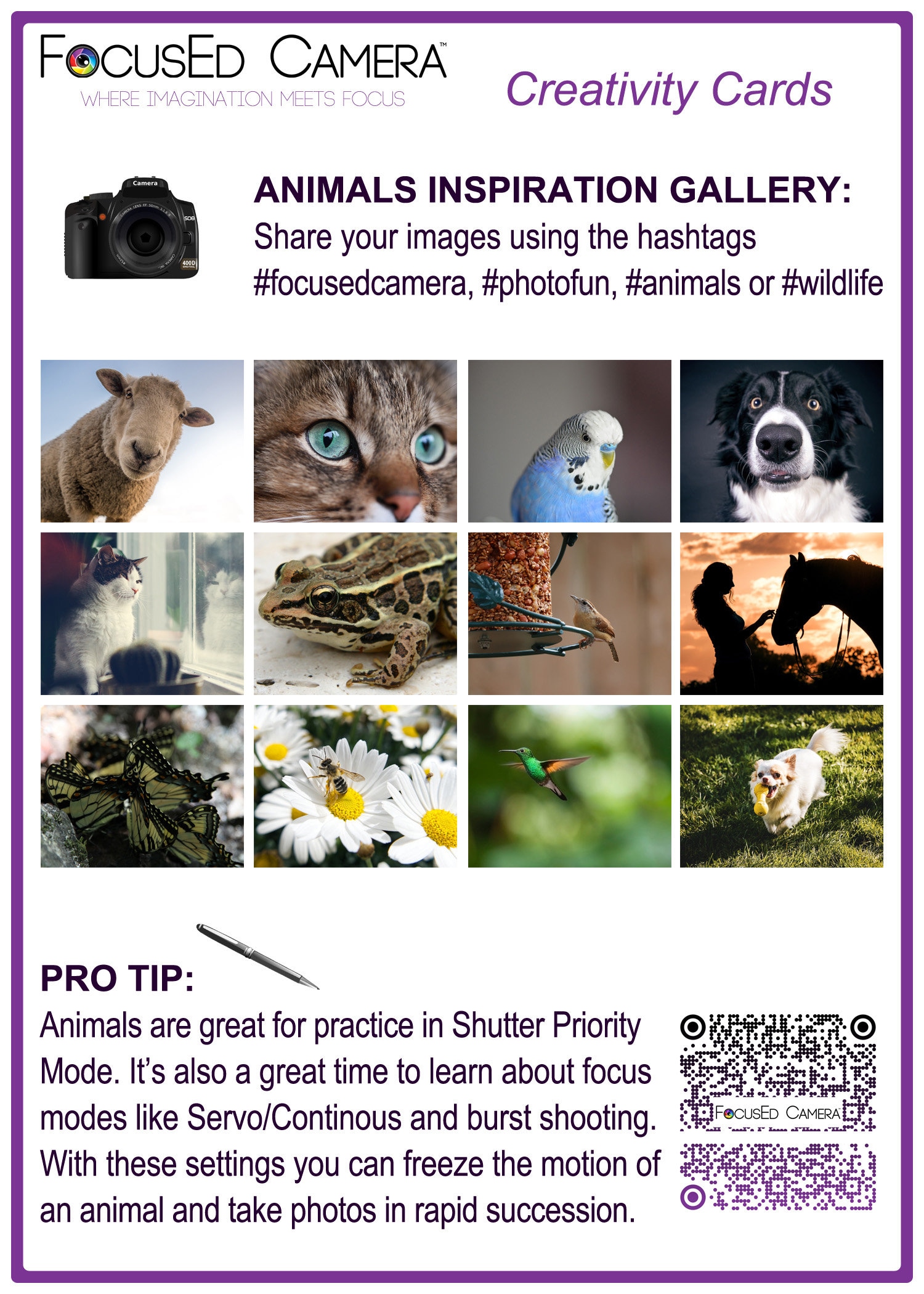 Photography Creativity Cards - Inspiration Ideas - Cheat Sheets - Learn ...