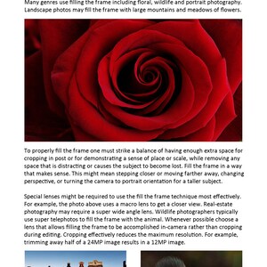 Composition Basics Cheat Sheets - 20 Card Set of Creative Techniques ...