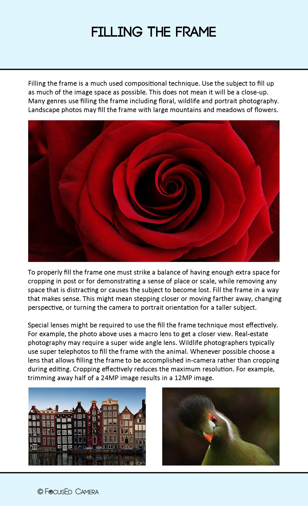 Composition Basics Cheat Sheets - 20 Card Set of Creative Techniques ...