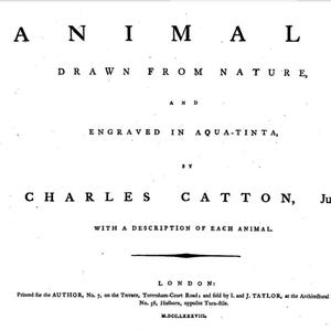 Rare Original 1788 Swedish Elk Print,charles Catton Animal Engraving ...