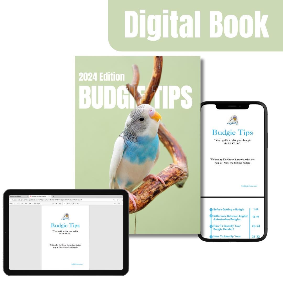 Budgie Tips Guide Book 2024 Digital Edition (instant Download) - Etsy