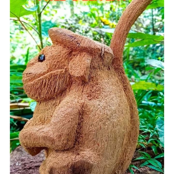 Carved Coconut - Etsy