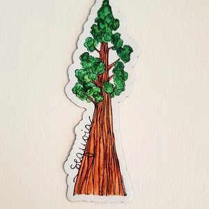 Sequoia Watercolor Magnet - Etsy