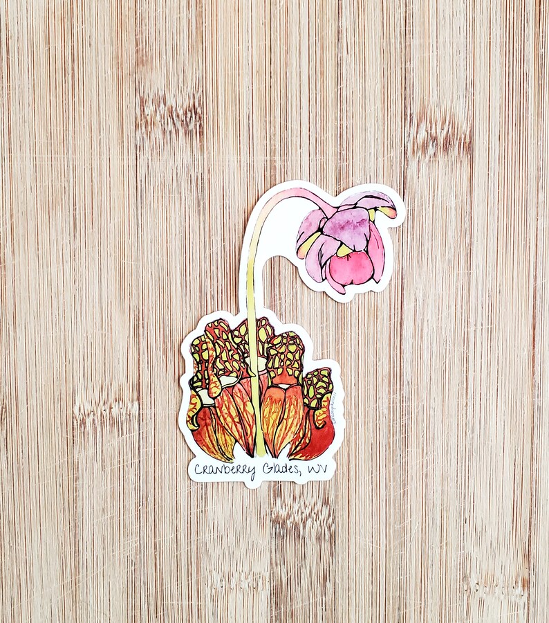 Cranberry Glades Pitcher Plant Sticker - Etsy