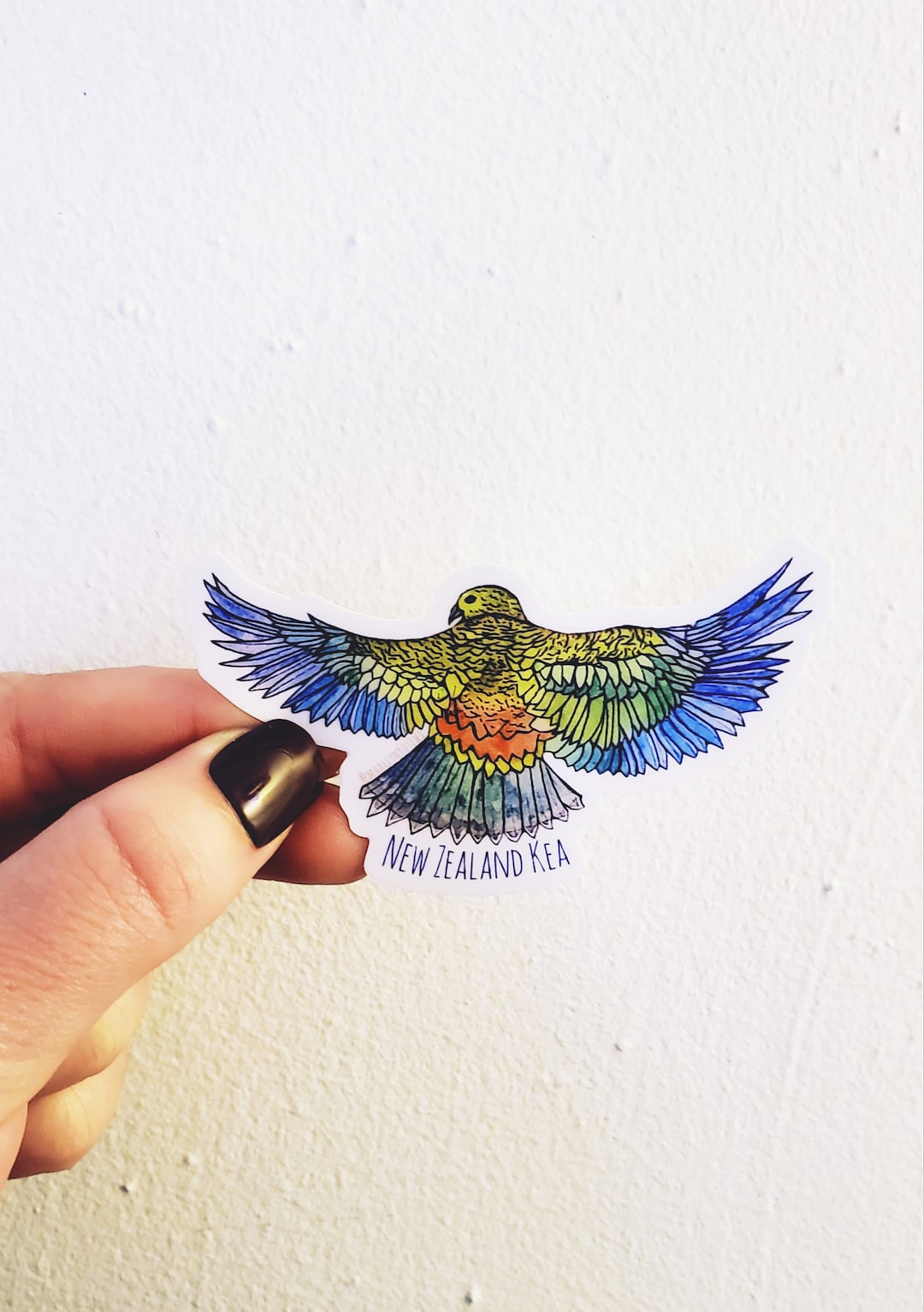 New Zealand Kea Sticker - Etsy