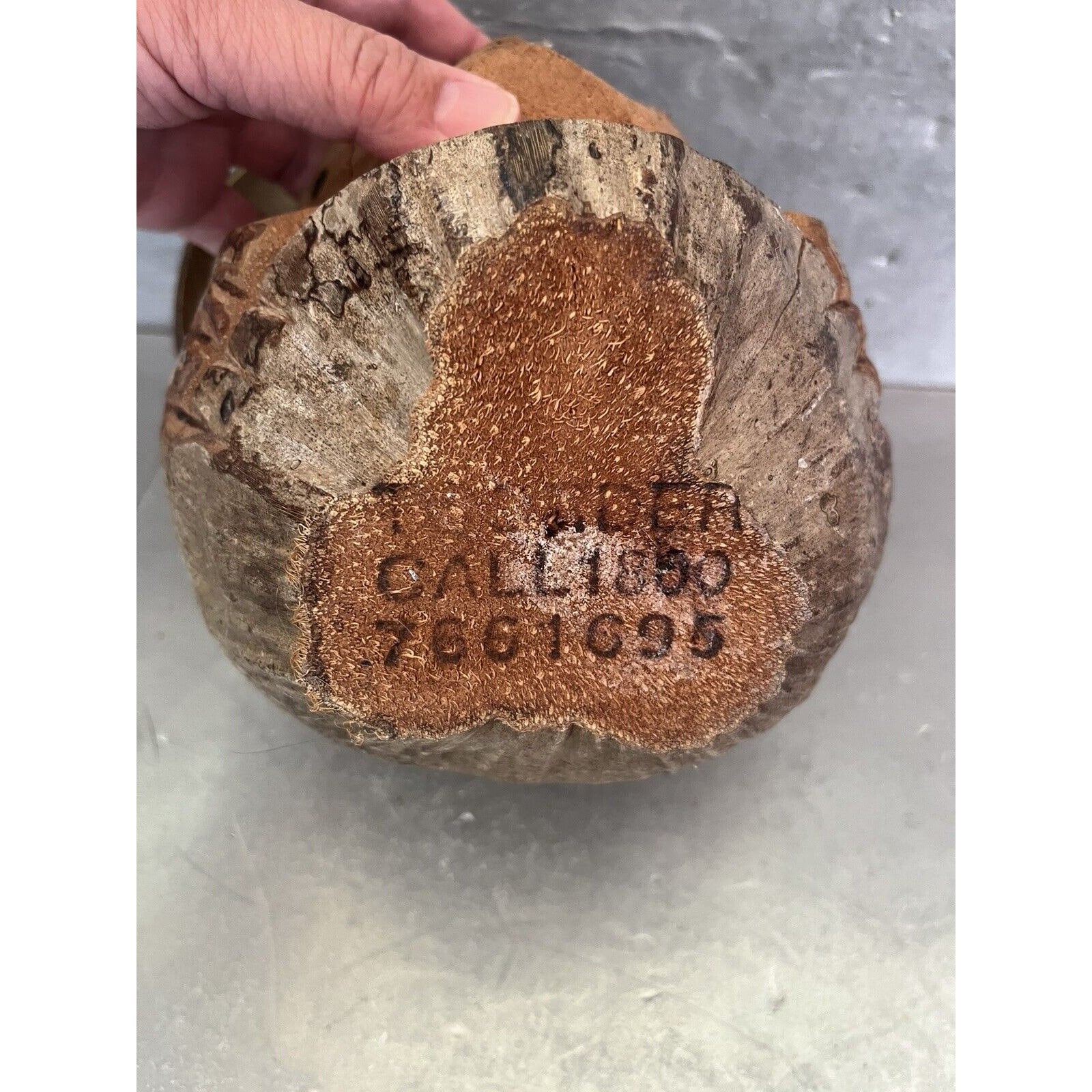 Vintage Carved Coconut Monkey Head Bank Hawaii Tiki Bar Hawaiian Decor ...