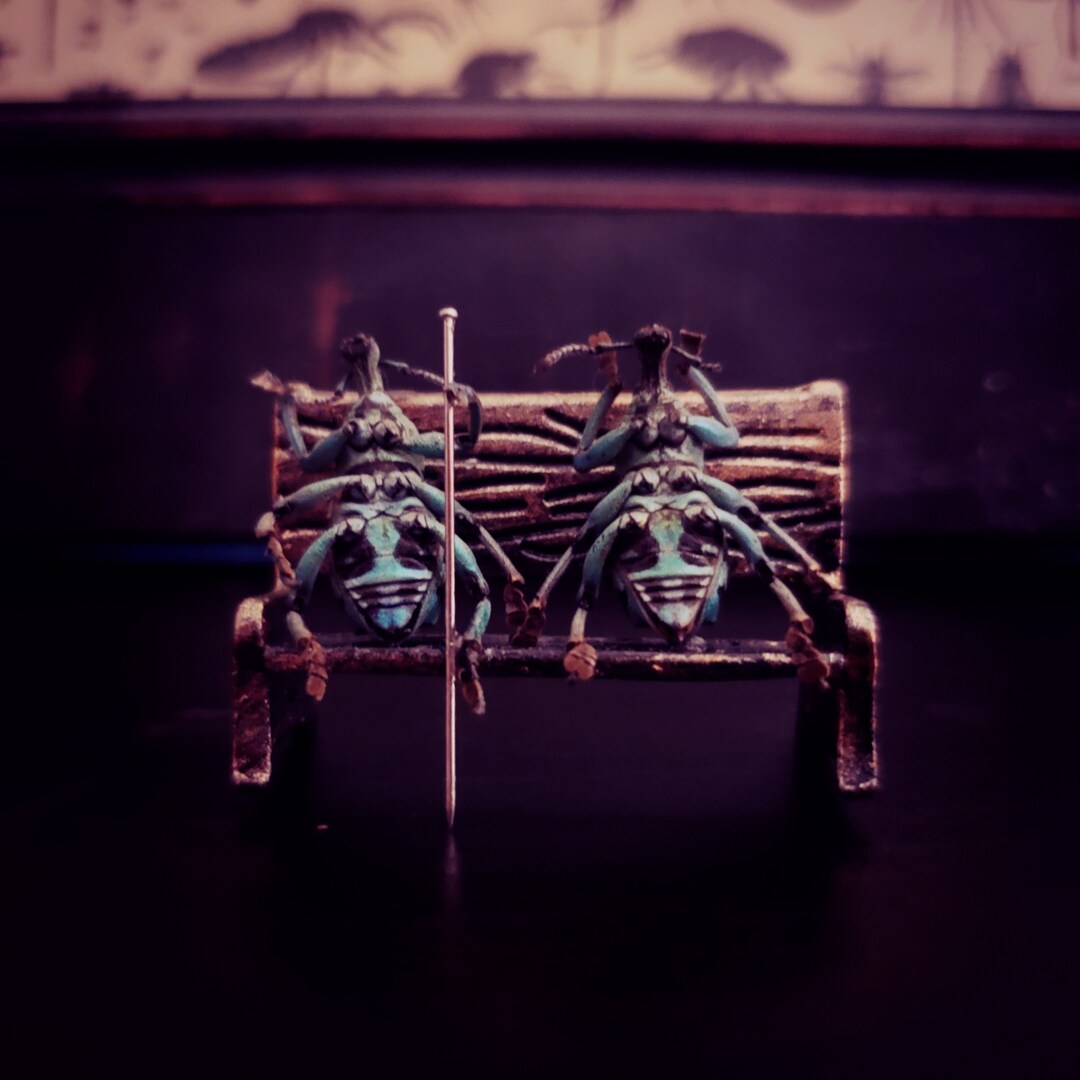 Bugs in a Bench Two Eupholus Chevrolati Tuquoise Weevil Beetles - Etsy