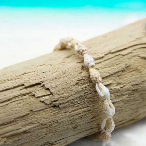 Shell Bracelet - Etsy