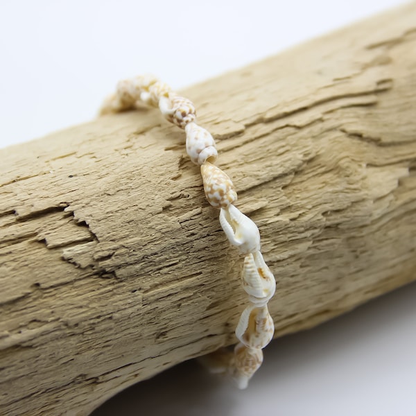 Shell Bracelet - Etsy