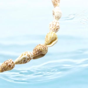 Conch Shell Choker | Handmade Shell Necklace | Beach Aesthetic | Surf ...