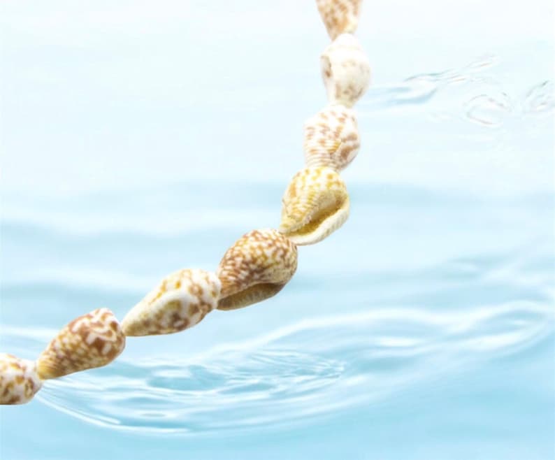 Conch Shell Choker | Handmade Necklace | Beach-style | Surf-style ...