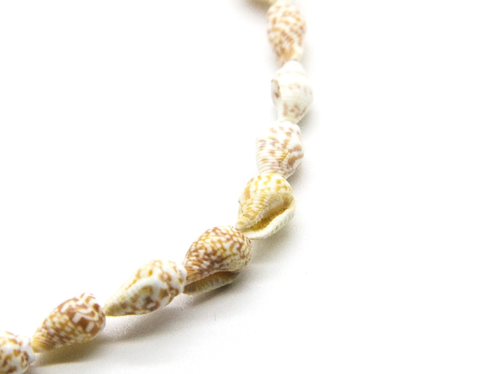 Handmade Seashell Anklet | Natural Conch Shells | Shell Jewellery ...
