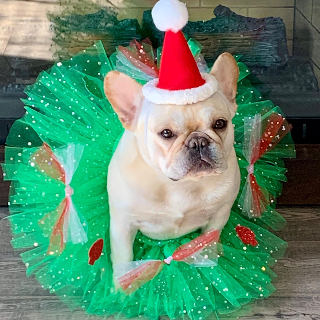 Christmas Tutu Grinch Christmas Santa Hat Dog Cat Sequin Tulle Pet Tutu ...