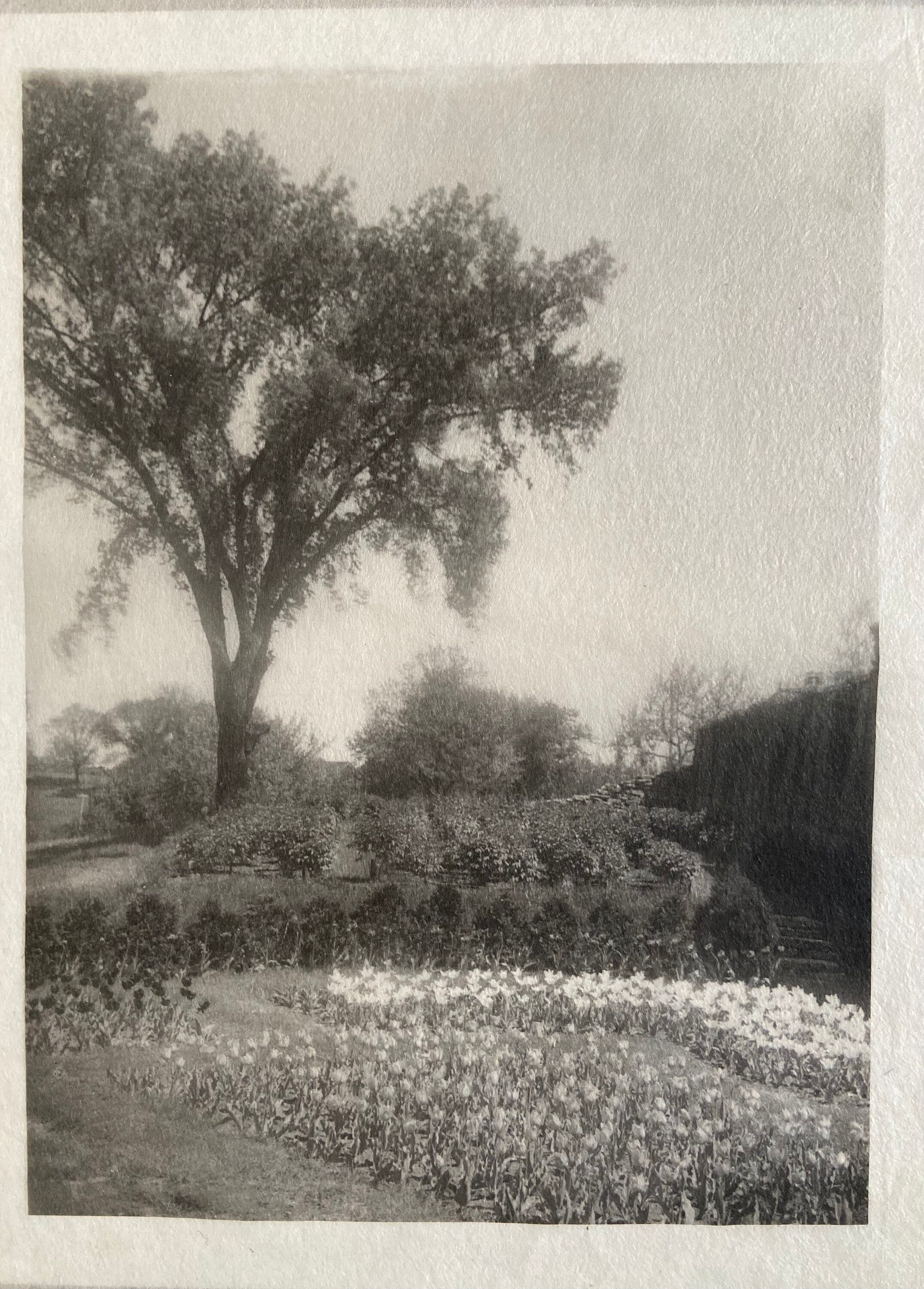 Nancy Ford Cones LeBlond Gardens vers 1900 Papier de soie - Etsy France