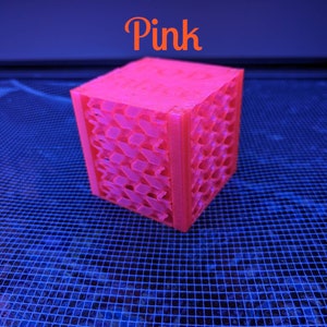 Pod Palace V2 Copepod Breeding Block, Give Your Pods a Home to ...