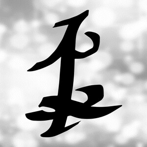 The Mortal Instruments Runes Parabatai