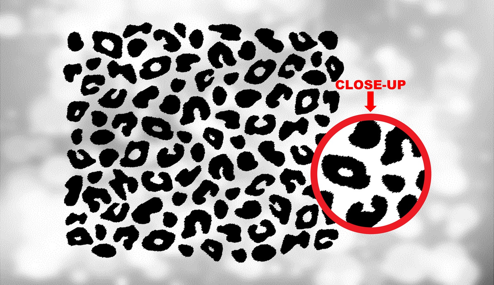 Shape Clipart: Fuzzy Patch of Leopard Skin or Cheetah Spots as | Etsy